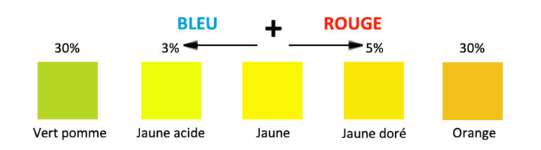 Théorie de la Couleur - Une Science Sous la Robe