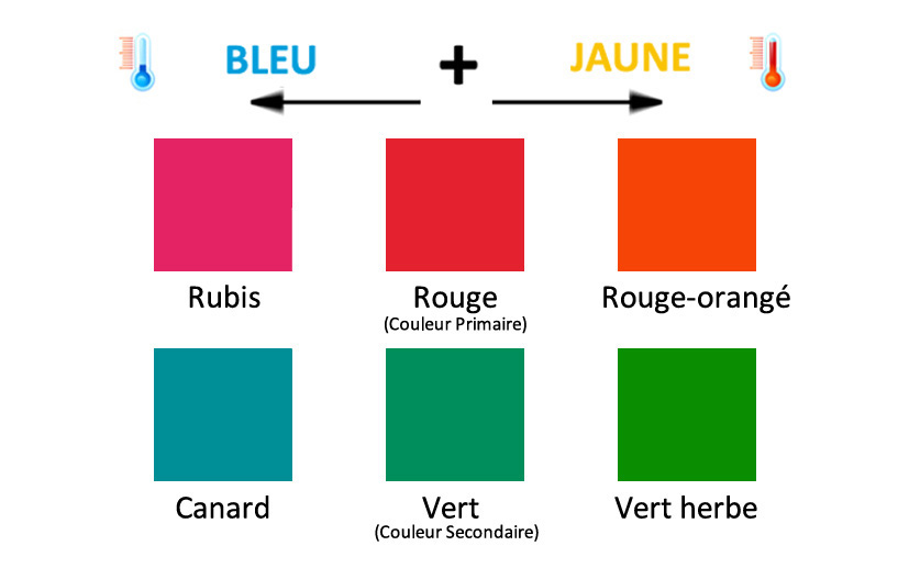 Théorie de la Couleur - Une Science Sous la Robe